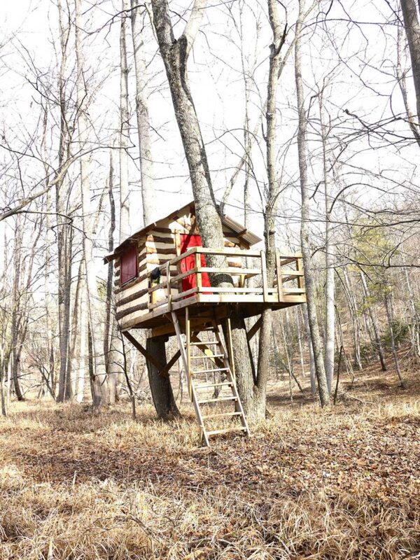 Tree House - MOUNTAINAIRE LUXURY CABIN